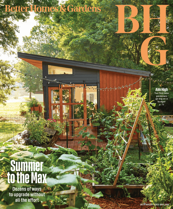Better Homes & Gardens: Ming Green Hex - New Ravenna