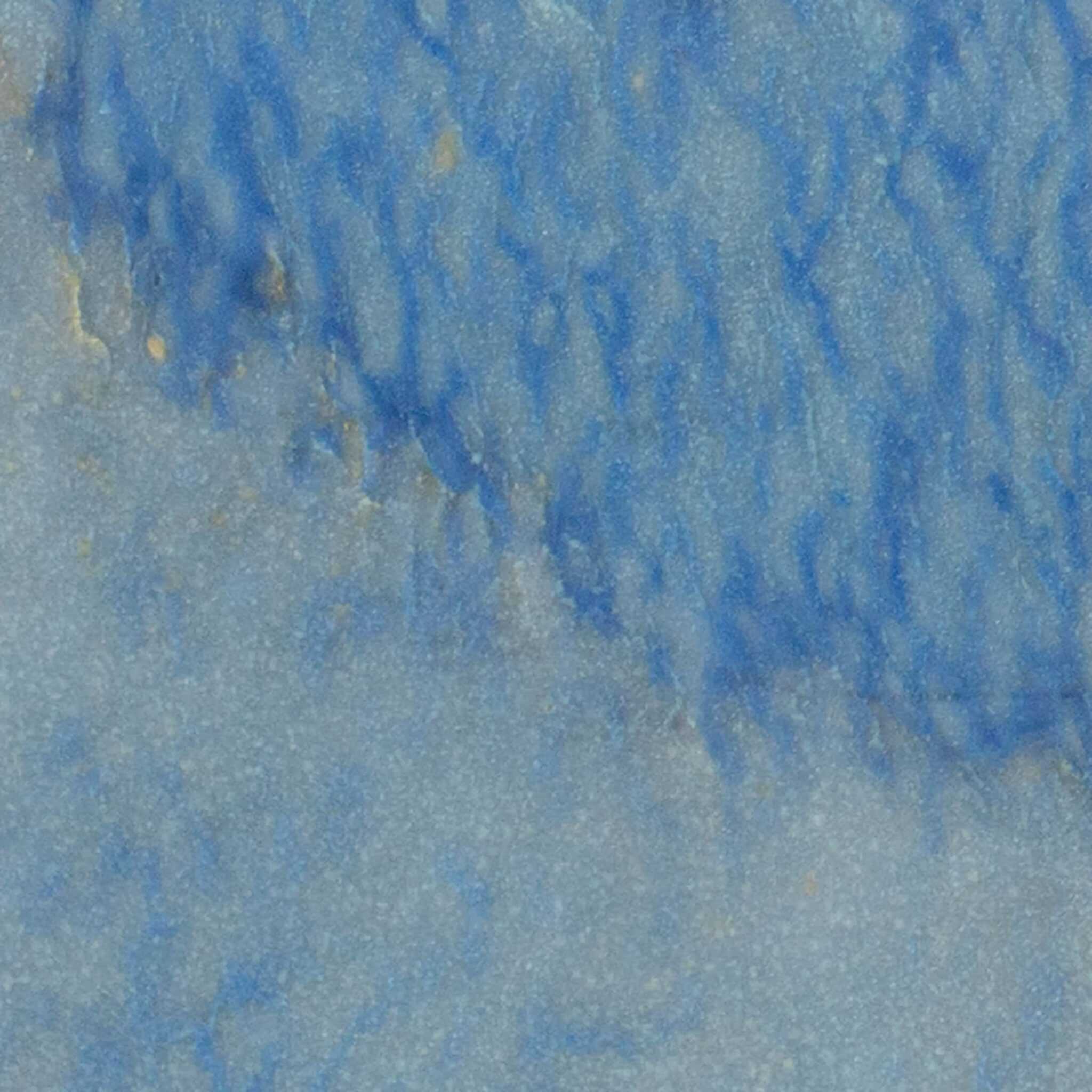 Blue Macauba - New Ravenna