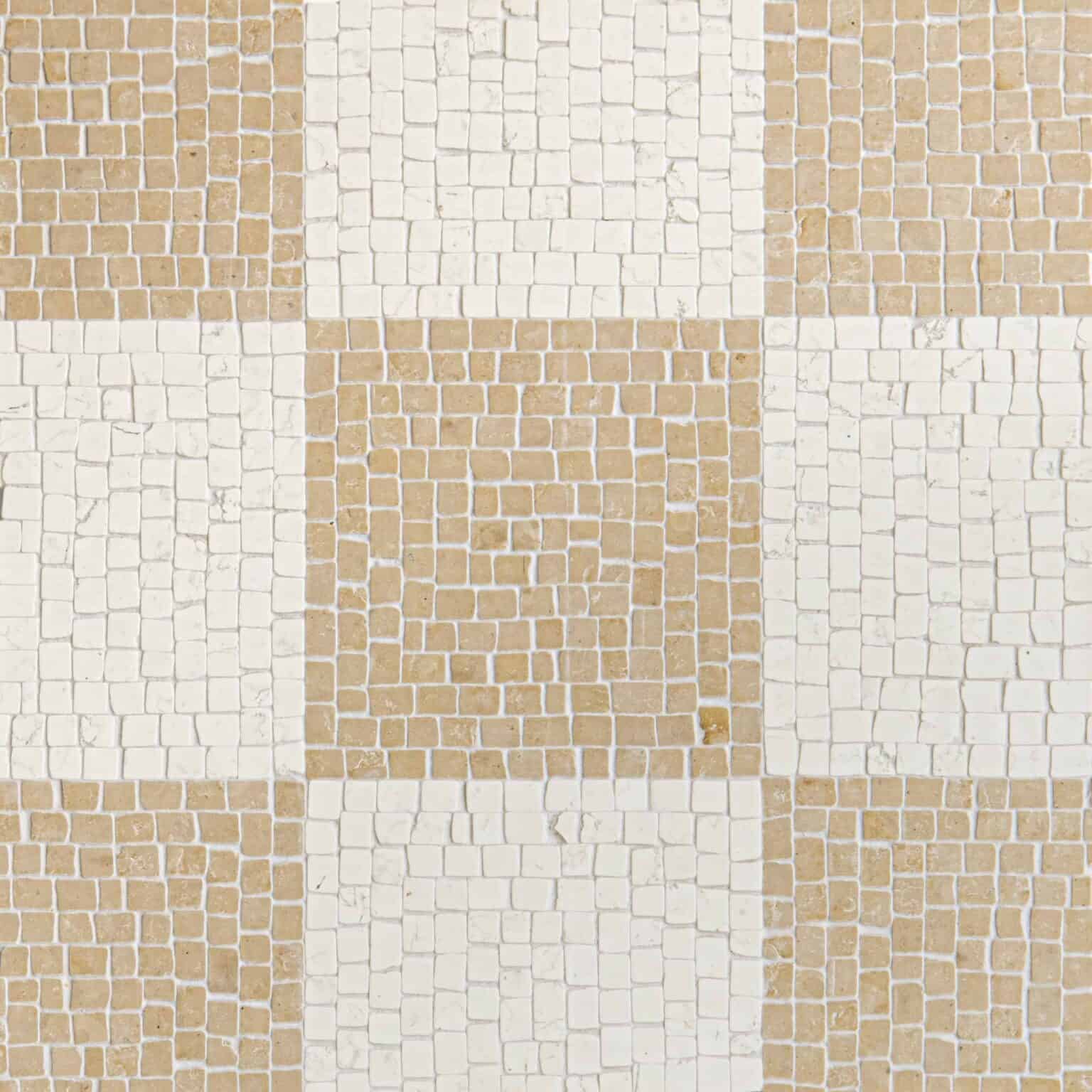 Roman Check - New Ravenna